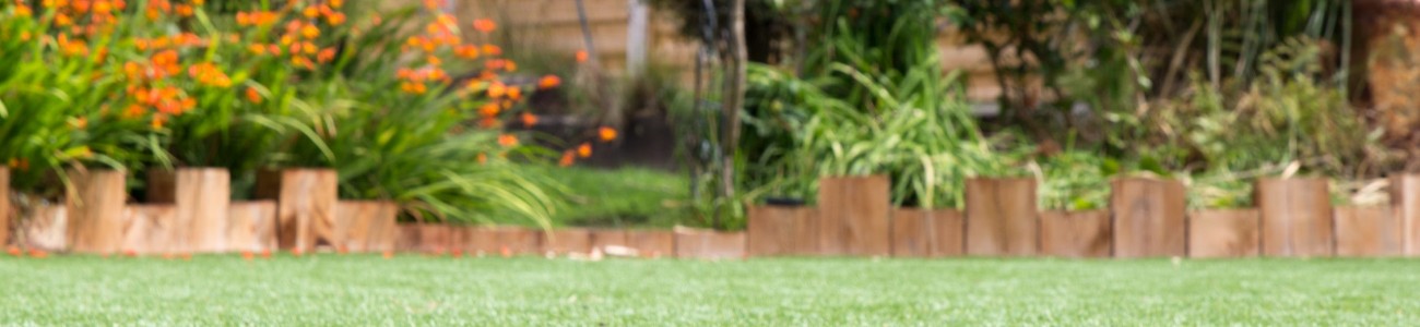 March into Spring: Timber Trends and Tips for Your Seasonal Projects ...